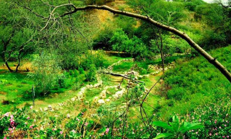 Smriti Van Full Info: Guide to Jaipur's Best Place for Couples